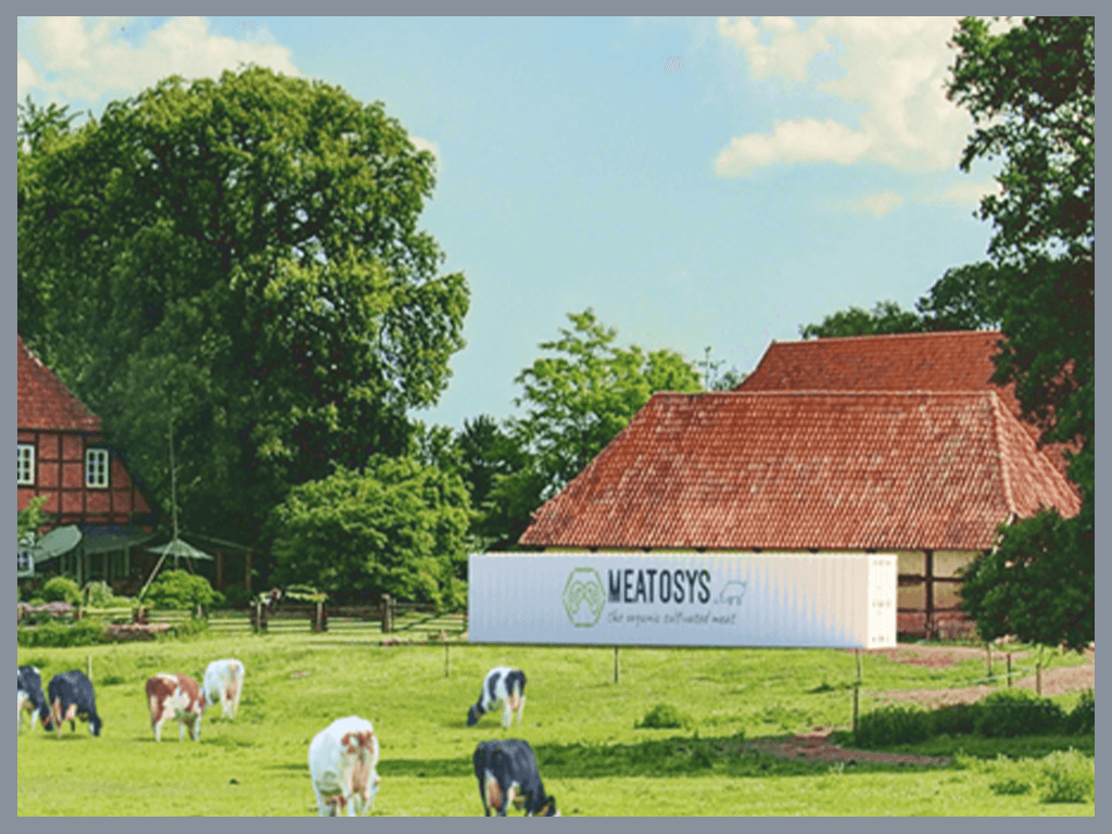 Sustainability and healthy eating concern us all