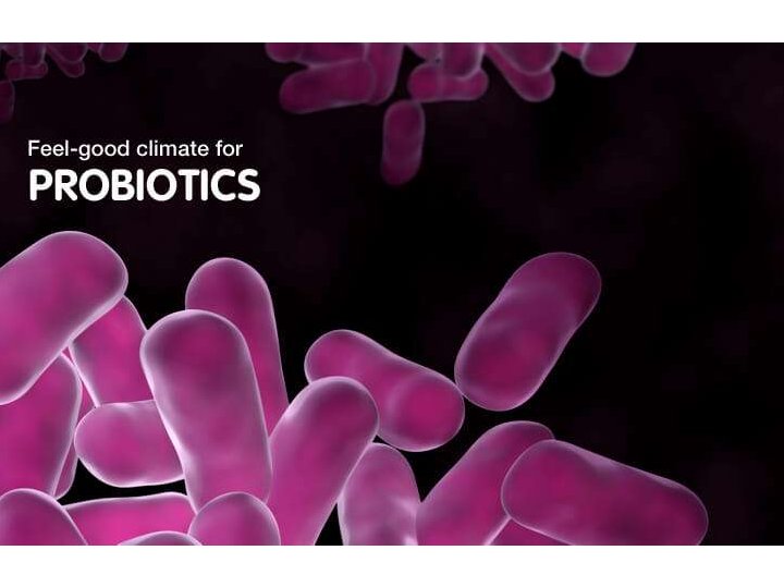 Low temperature vacuum drying - gentle on bacteria and the environment